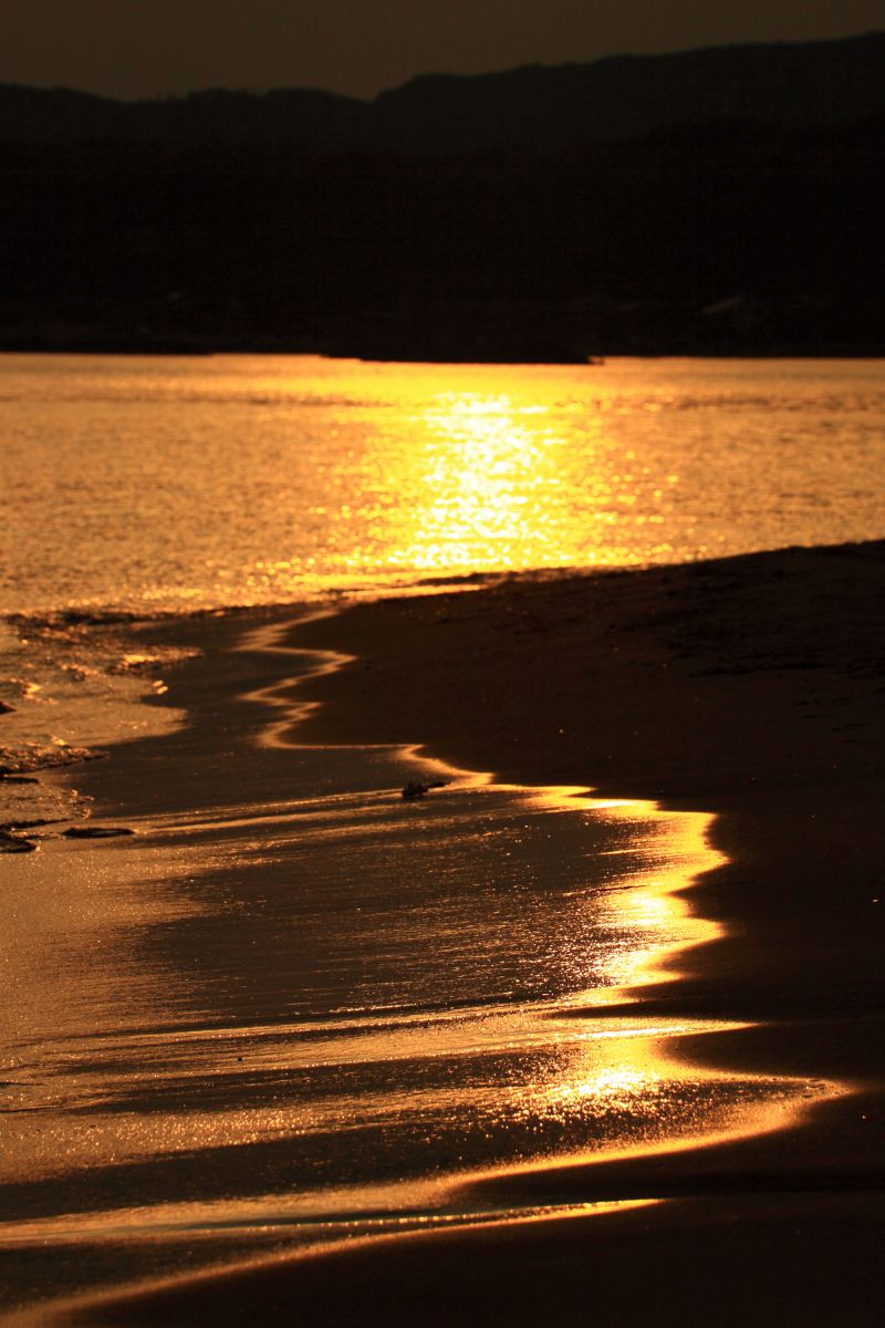 twinkle the beach | GANREF