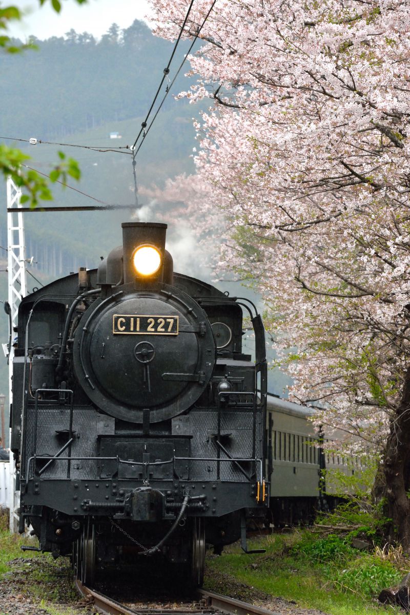 C11 227春.jpg | GANREF