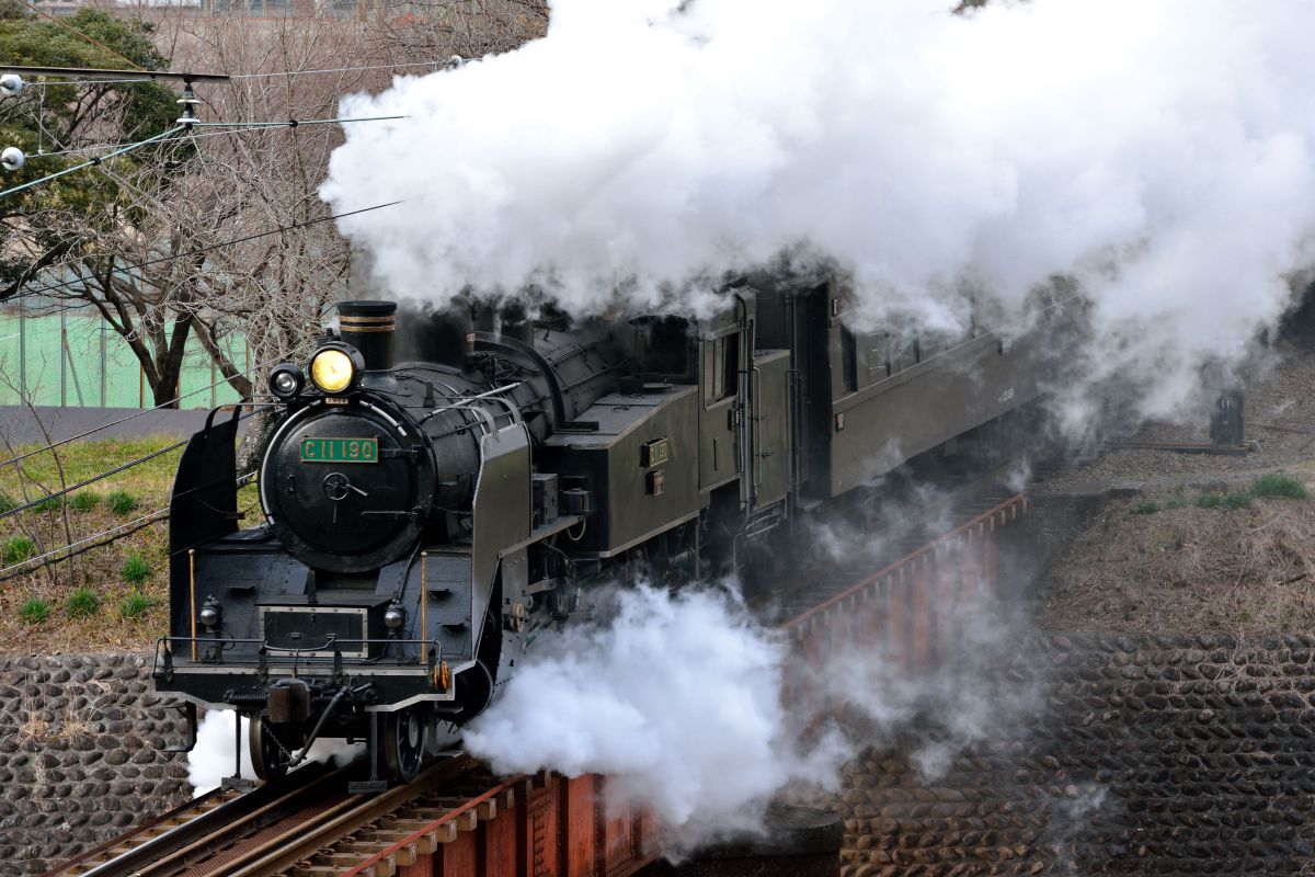 C11 190初冬.jpg | GANREF