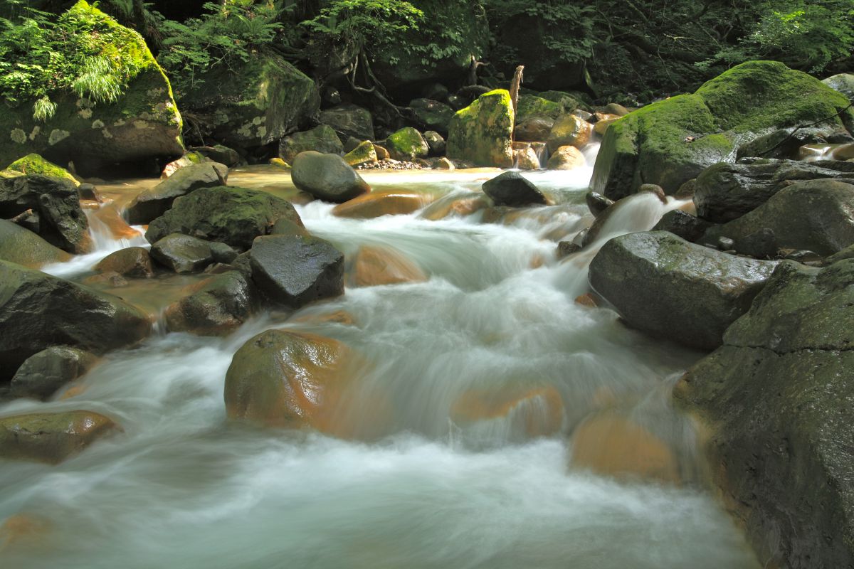 Crowdy Stream | GANREF