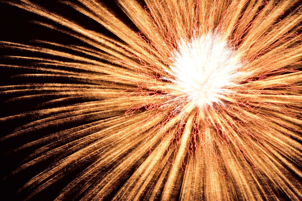 soler flare | GANREF