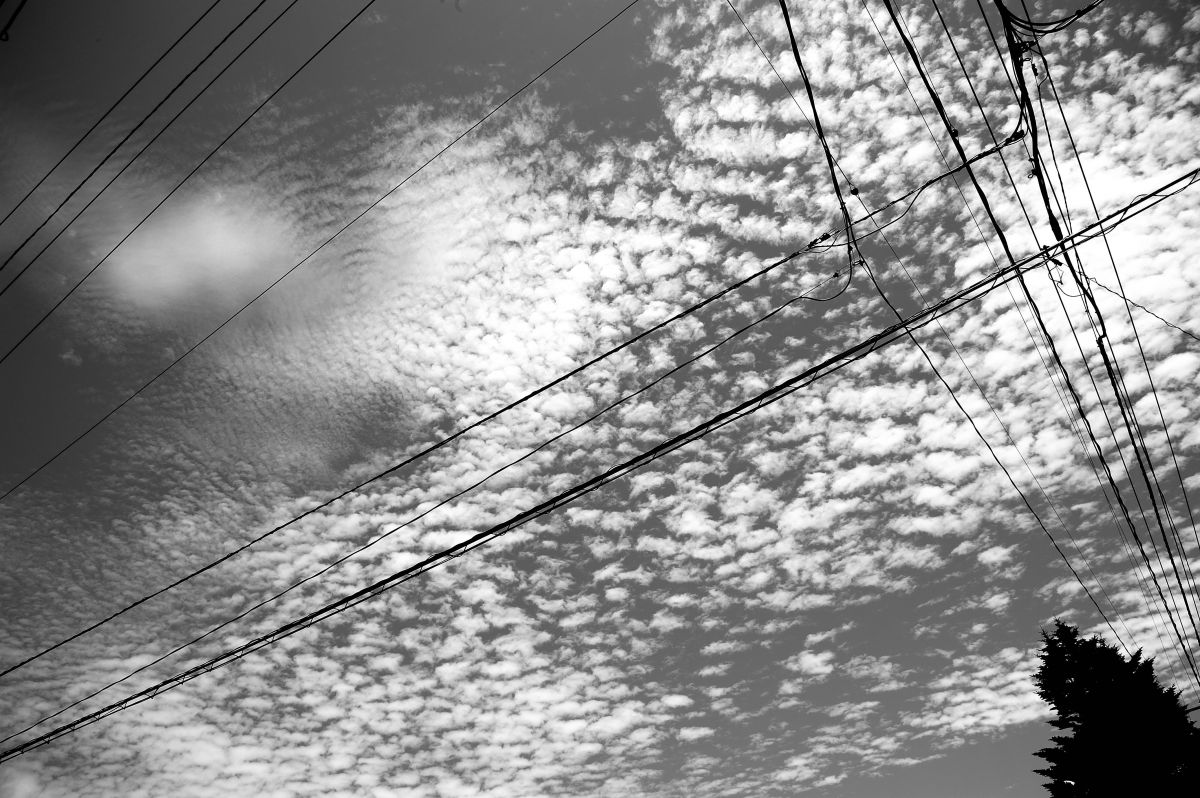 Wire & Cloud | GANREF