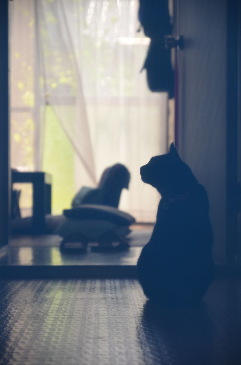 In my house | GANREF