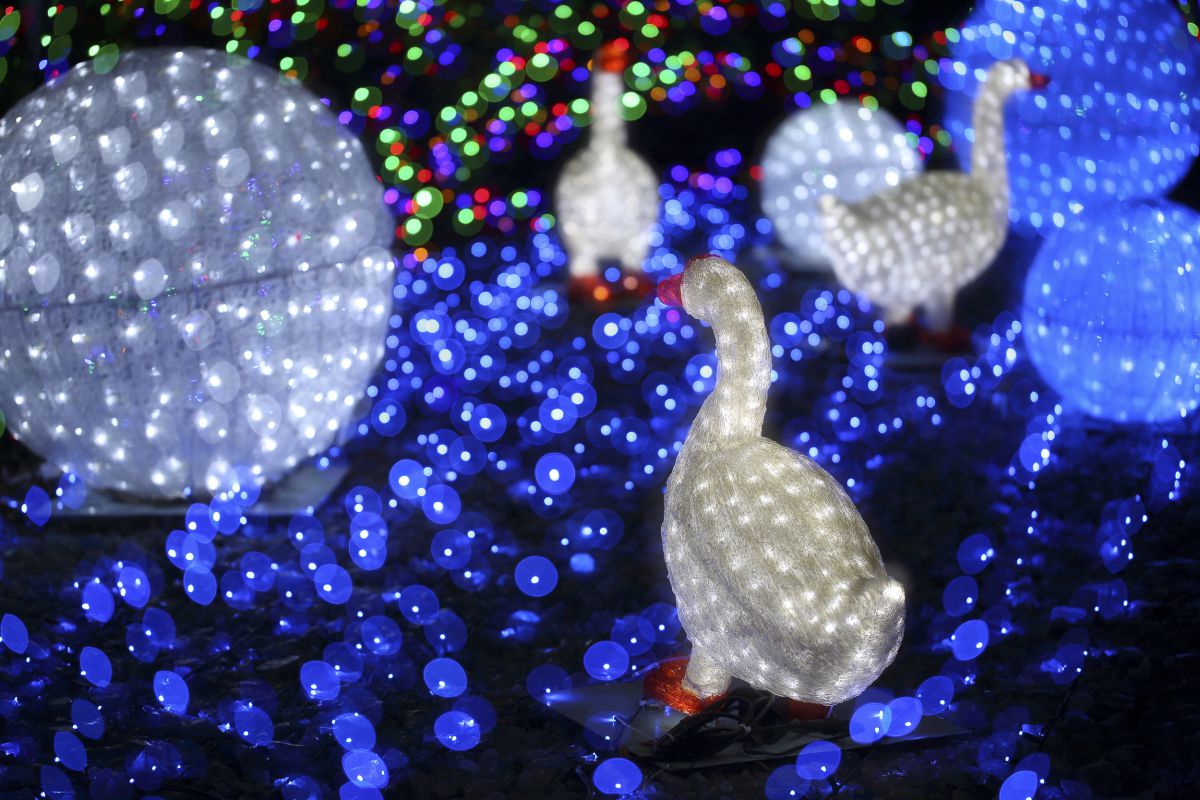 Illuminations | GANREF