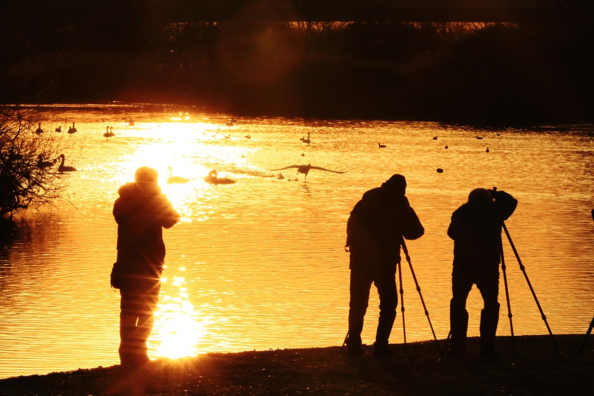 水面で舞う | GANREF