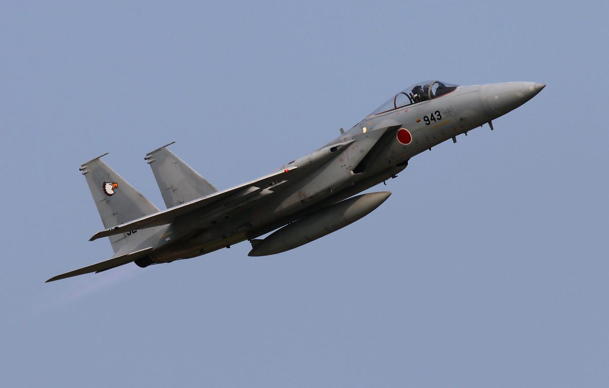 204th bald eagle | GANREF