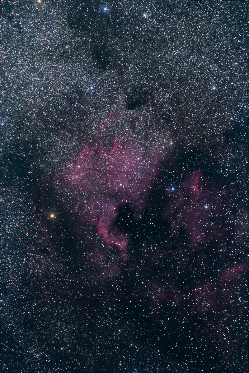 とまどうペリカン ‐Pelican Nebula- | GANREF