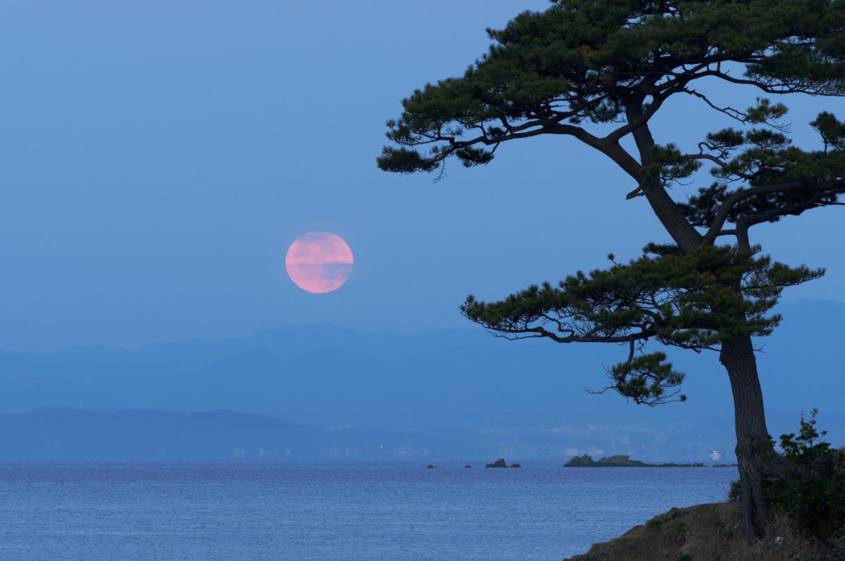 Super Moon Set | GANREF