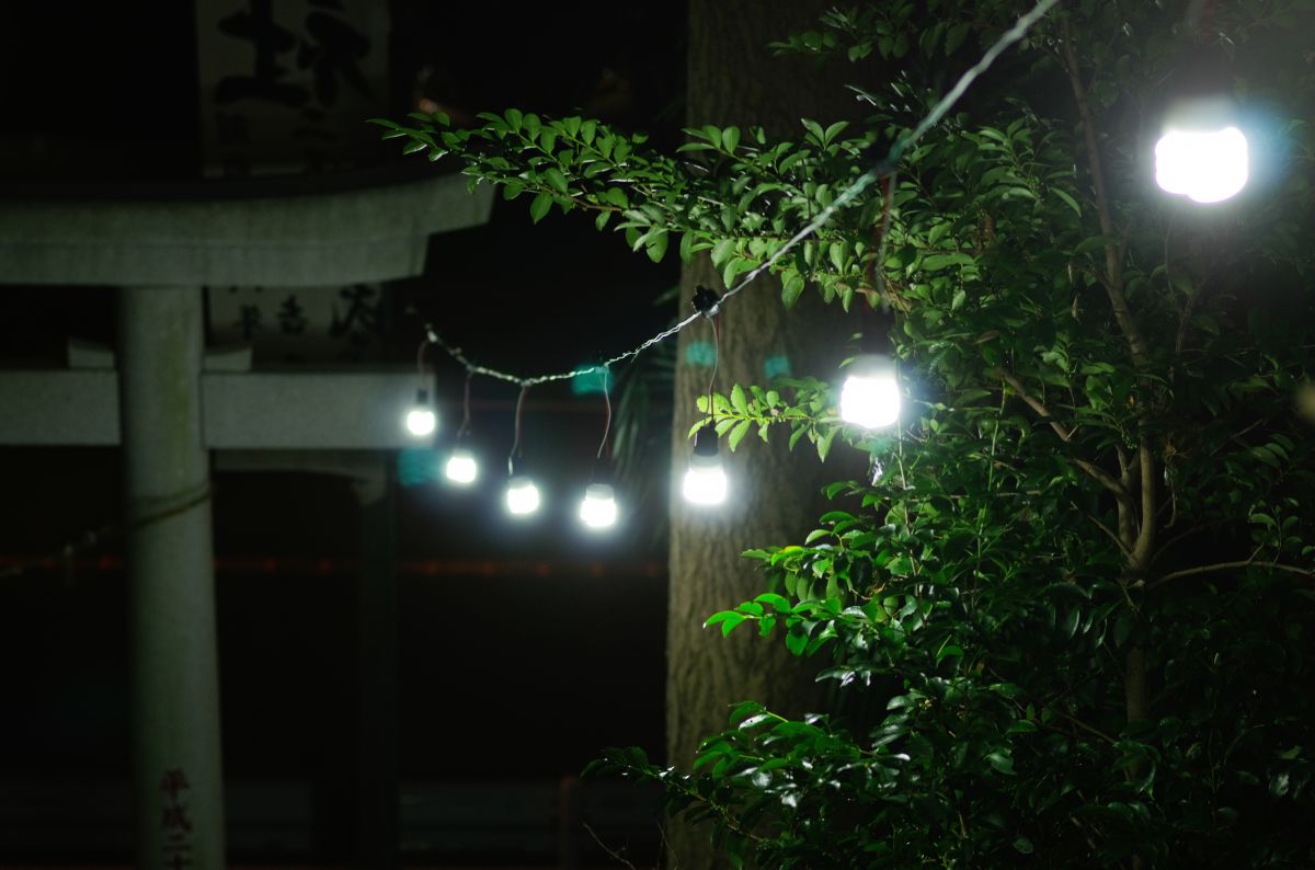 高輝度LED | GANREF