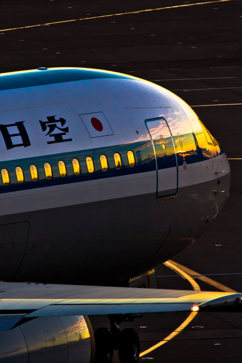 sunrise liner | GANREF