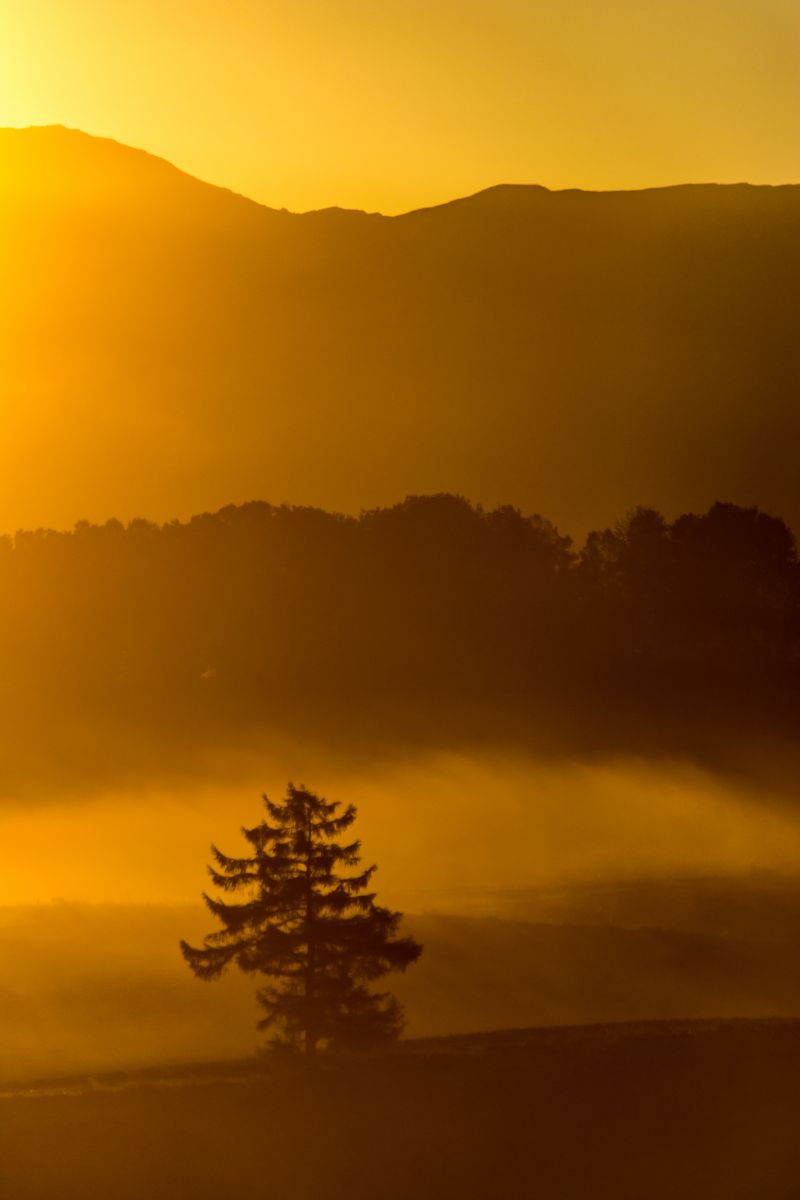 Morning mist | GANREF