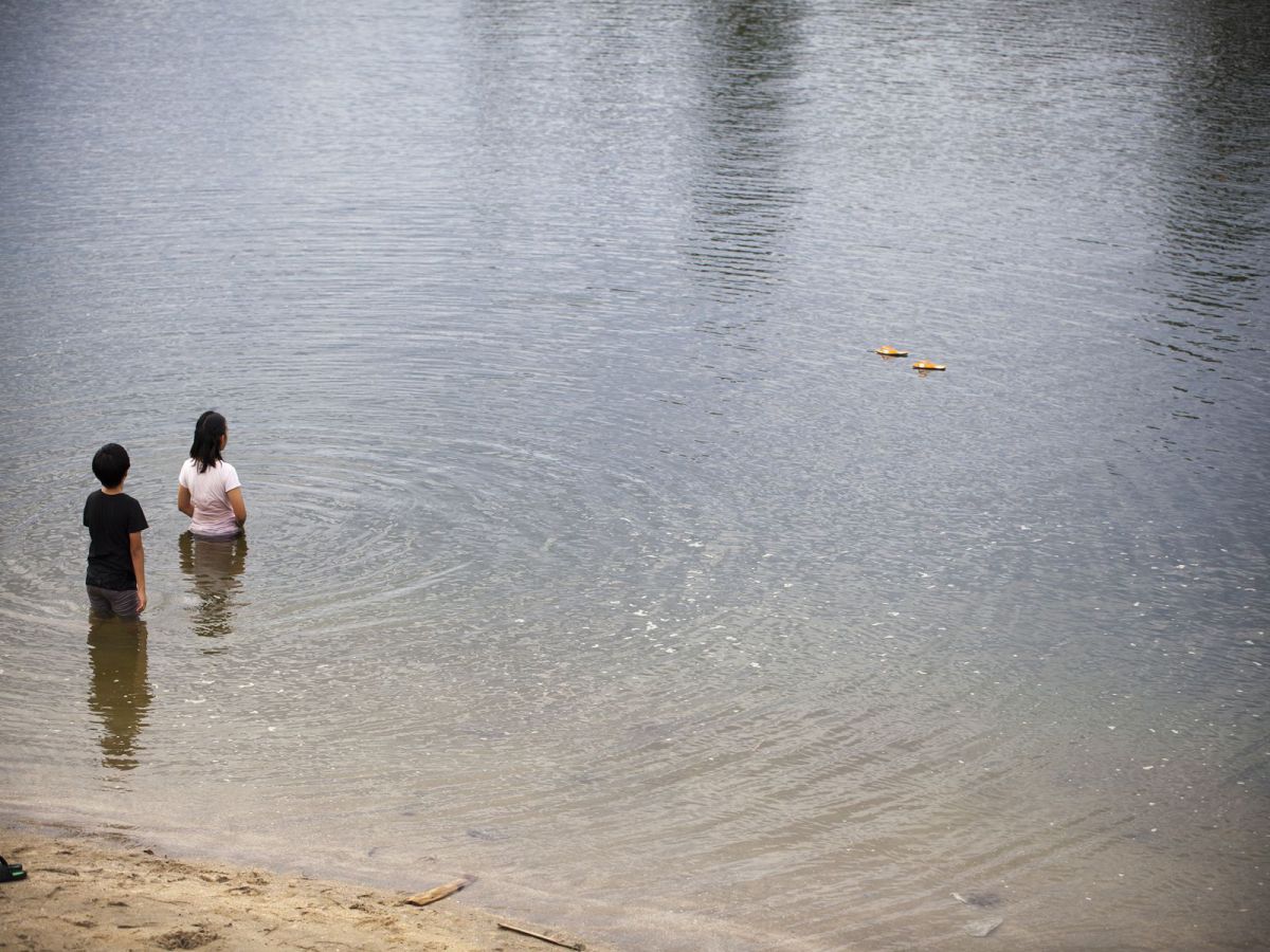 呆然・・・ | GANREF