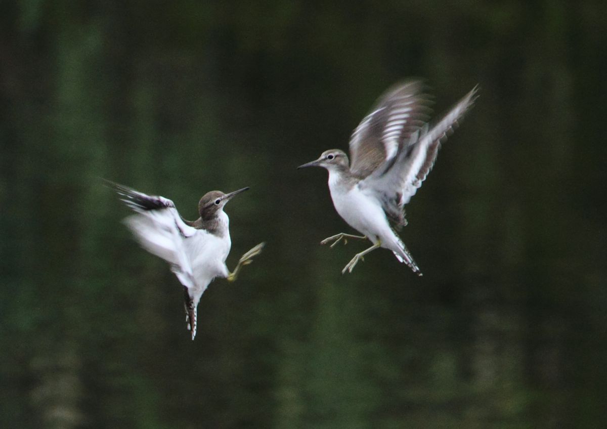 rendez-vous.JPG | GANREF