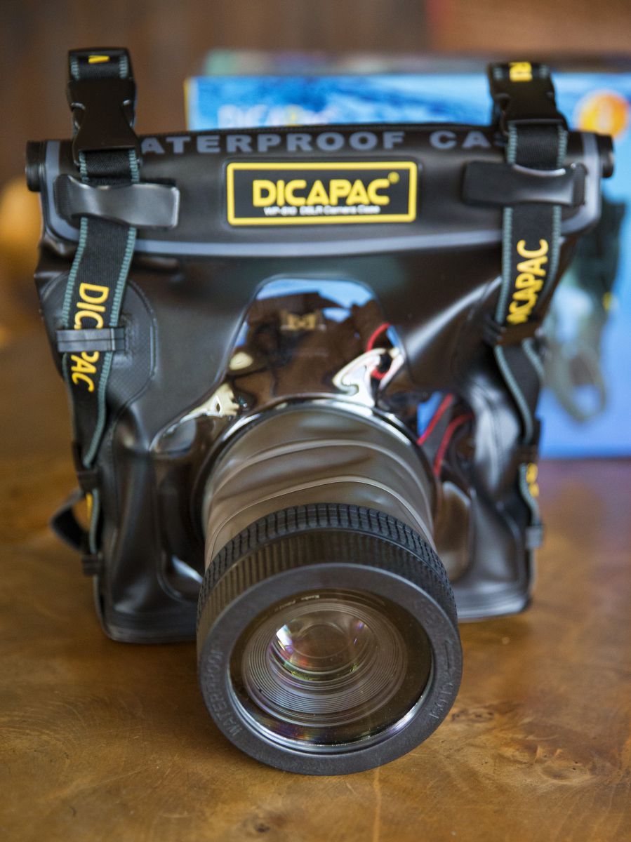 DiCAPac WP-S10 | GANREF