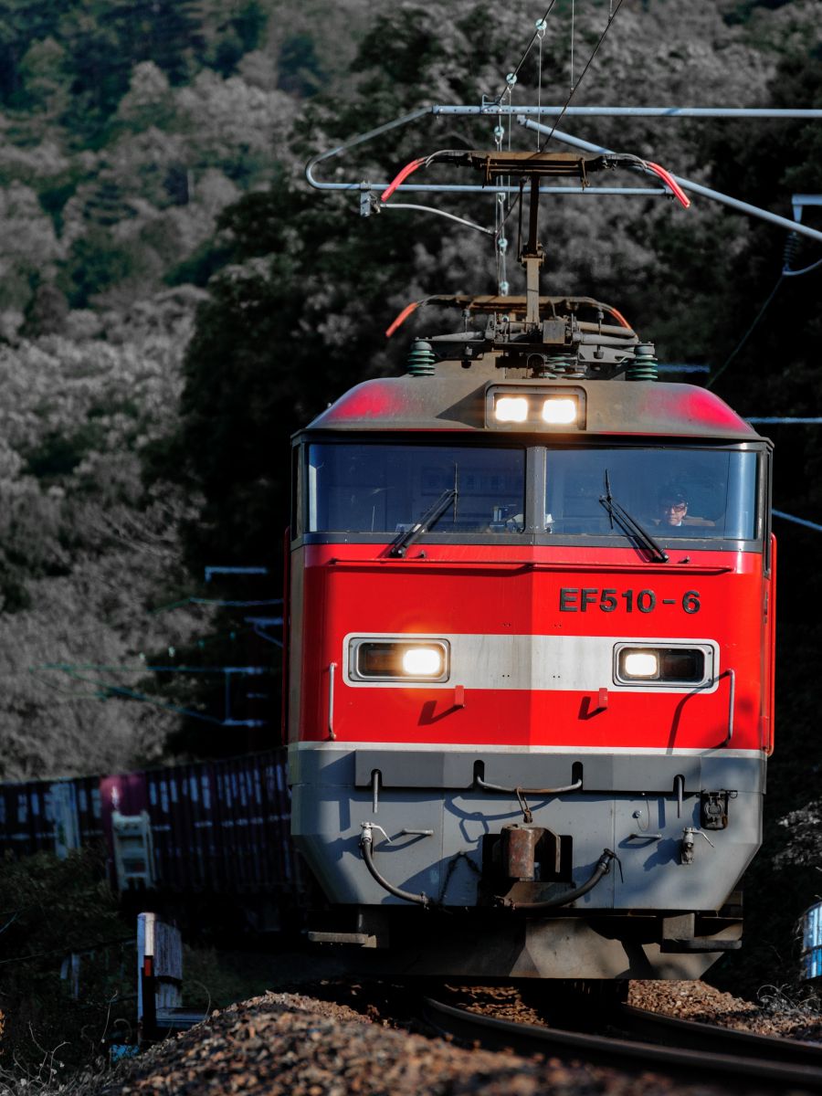 RED THUNDER | GANREF