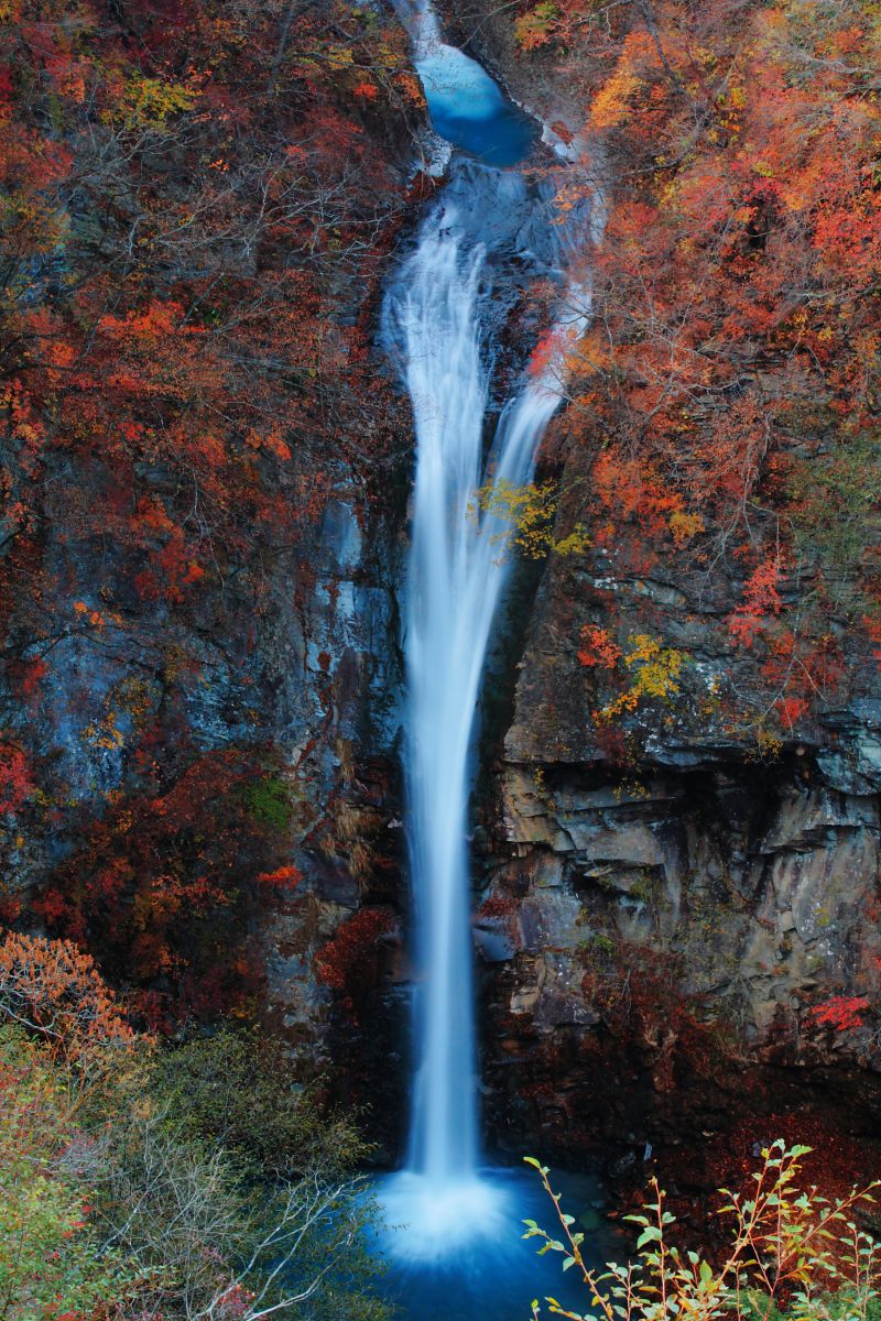 蒼白の流れに見惚れて | GANREF