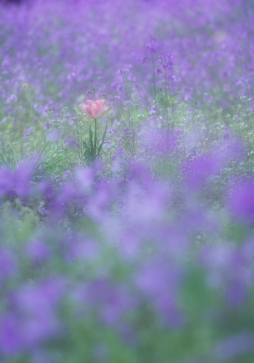 あの日あなたに逢えた場所で・・・ | GANREF