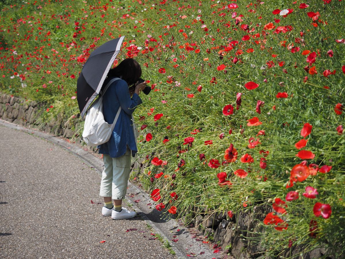 きれいに撮れましたか？ | GANREF