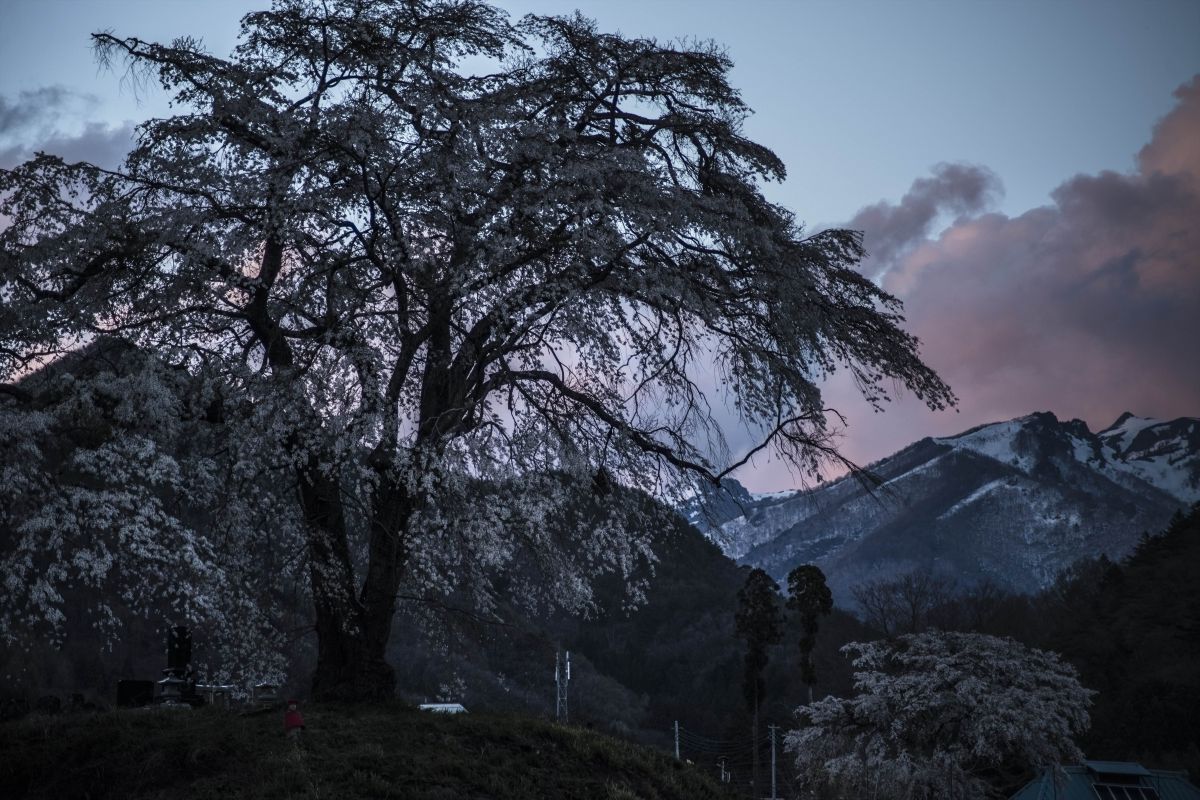 夕焼け空 | GANREF