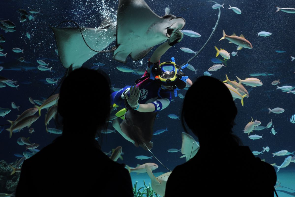 inside,outside | GANREF