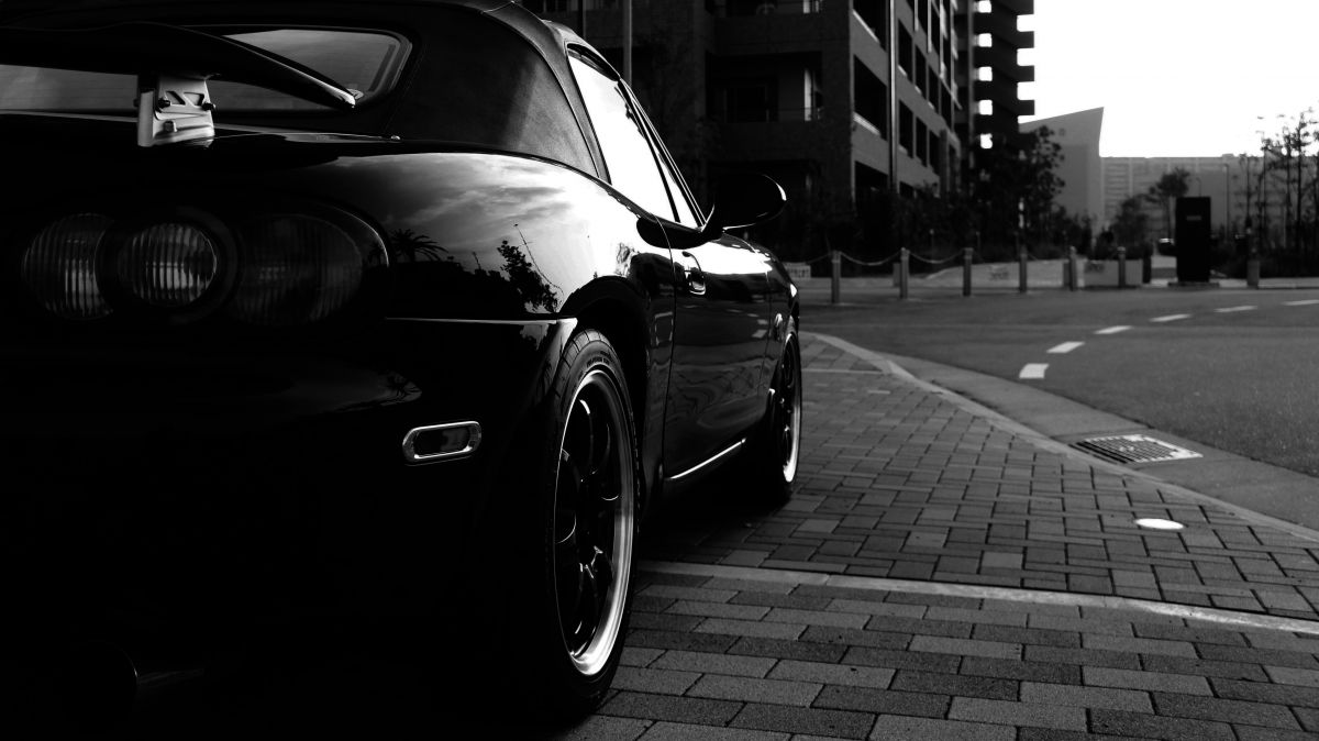 Black & Bright Body | GANREF