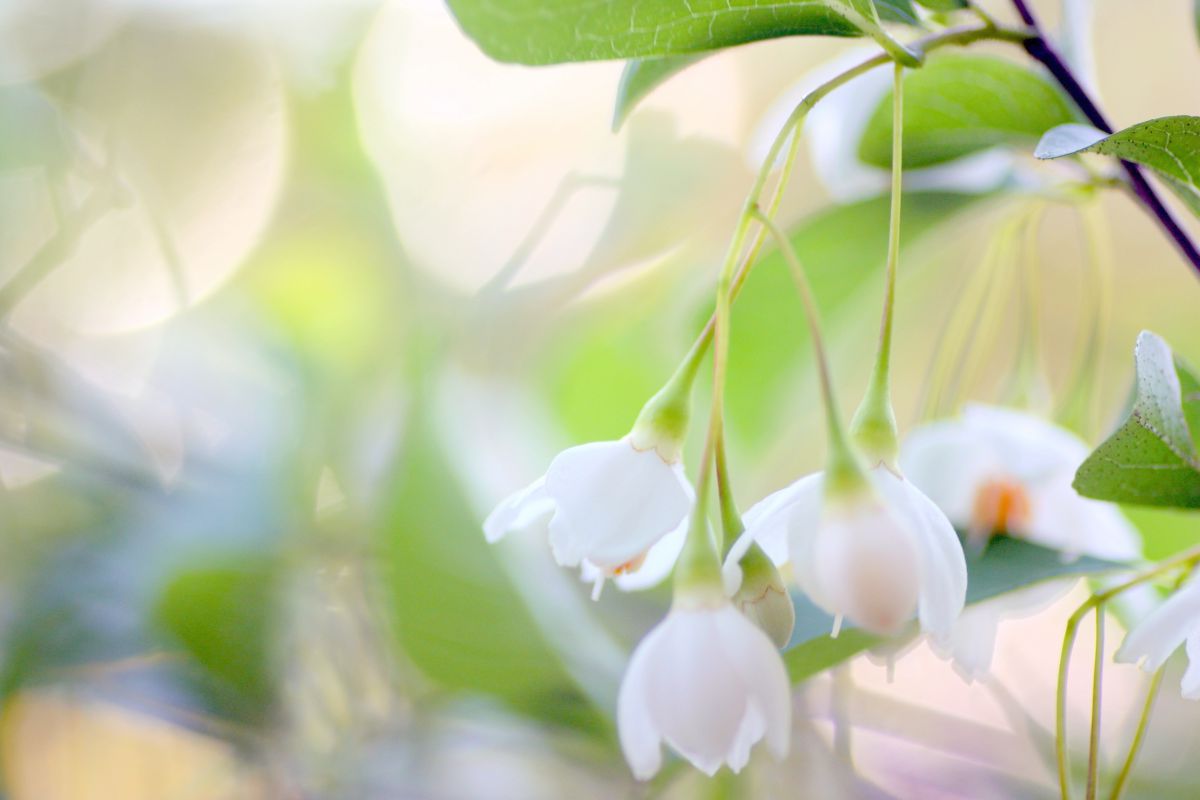 恥ずかしくて・・・ | GANREF