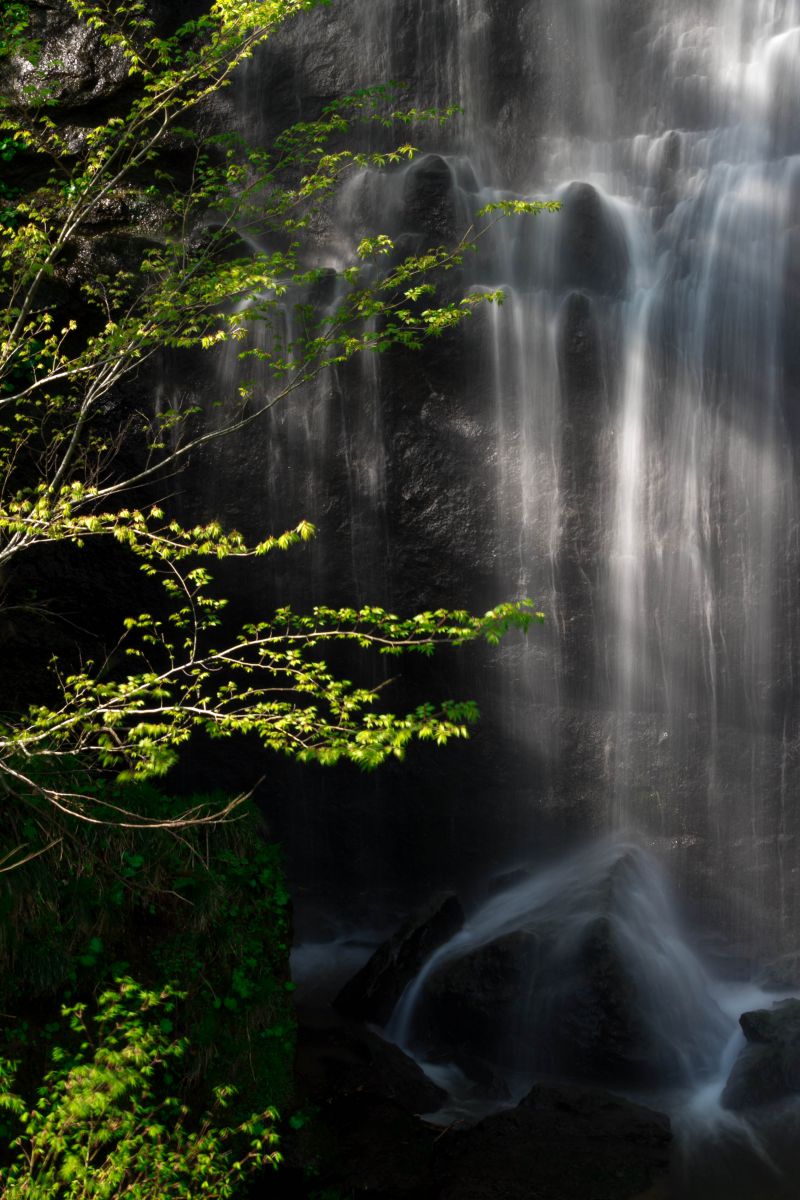 光芒・母なる滝 | GANREF