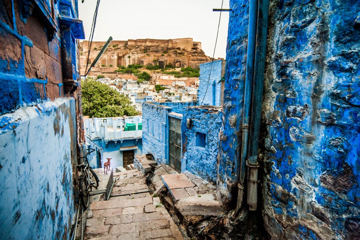 Blue City VI | GANREF