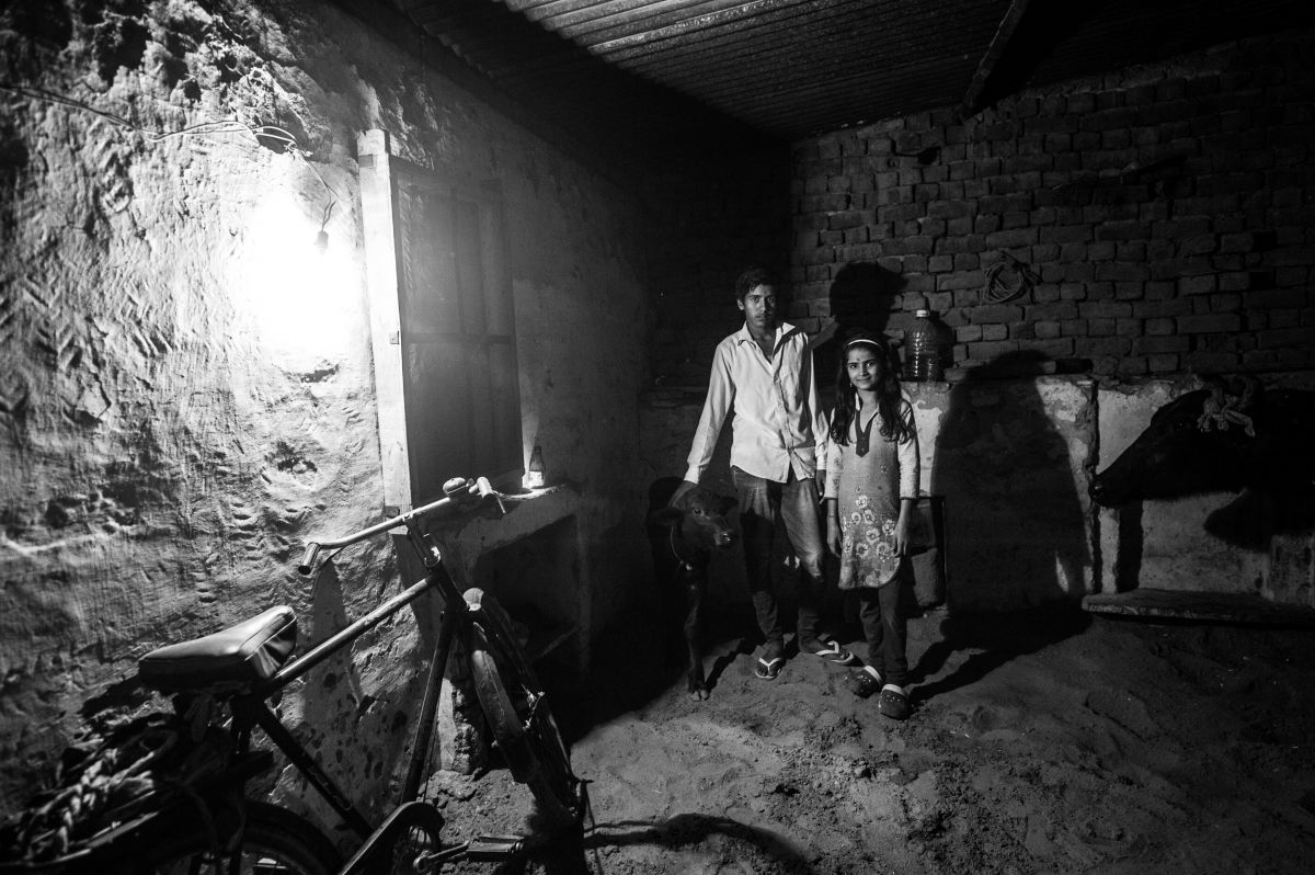 cowshed studio | GANREF