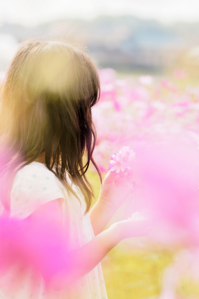 花に包まれて | GANREF