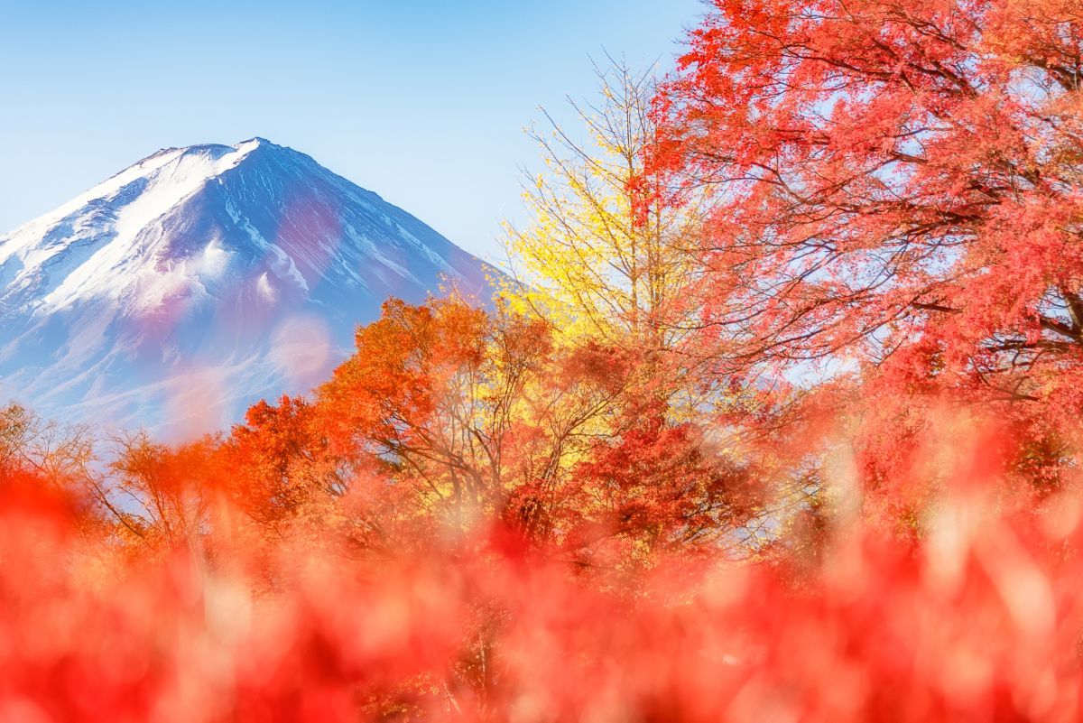 Autumn colors | GANREF