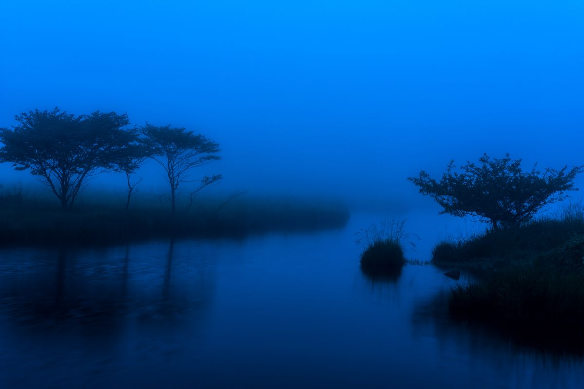 Misty Morning | GANREF