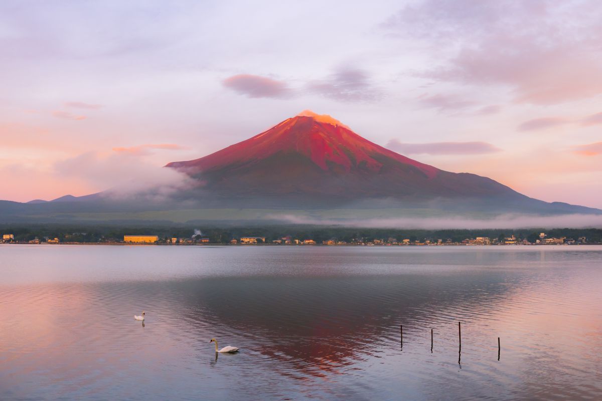 Red Mt.Fuji | GANREF