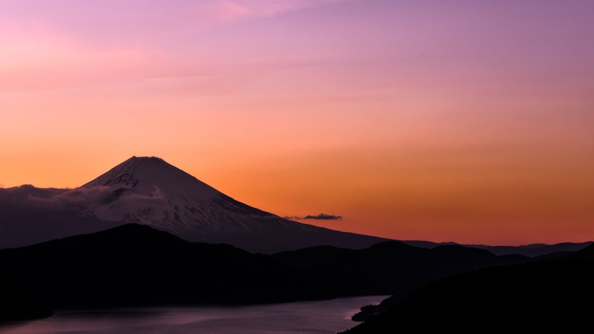 『Long tail』 | GANREF