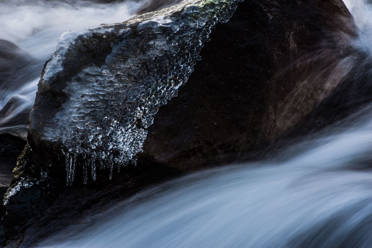 Solid/Liquid * | GANREF