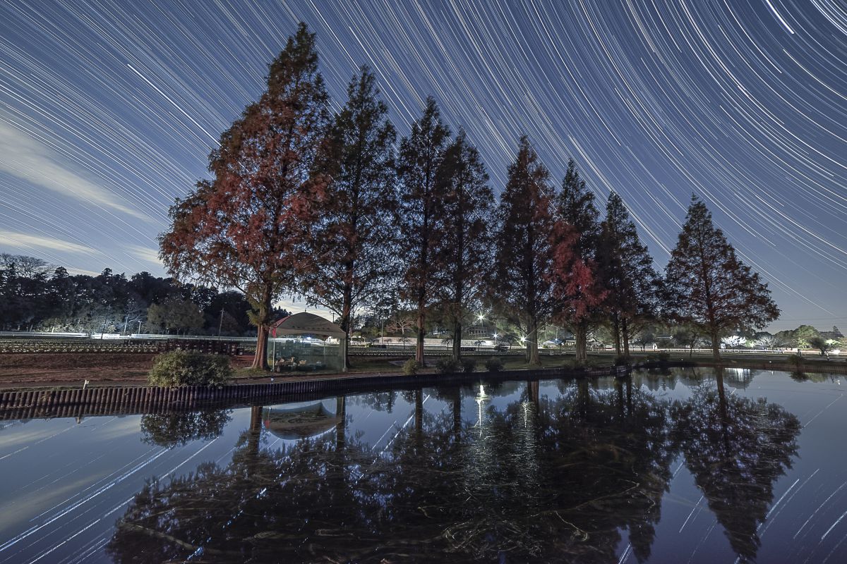 The Flow of Time | GANREF