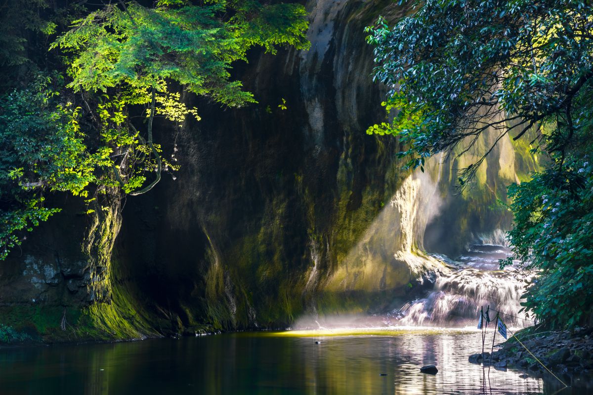 Rays Of Light Entering | GANREF