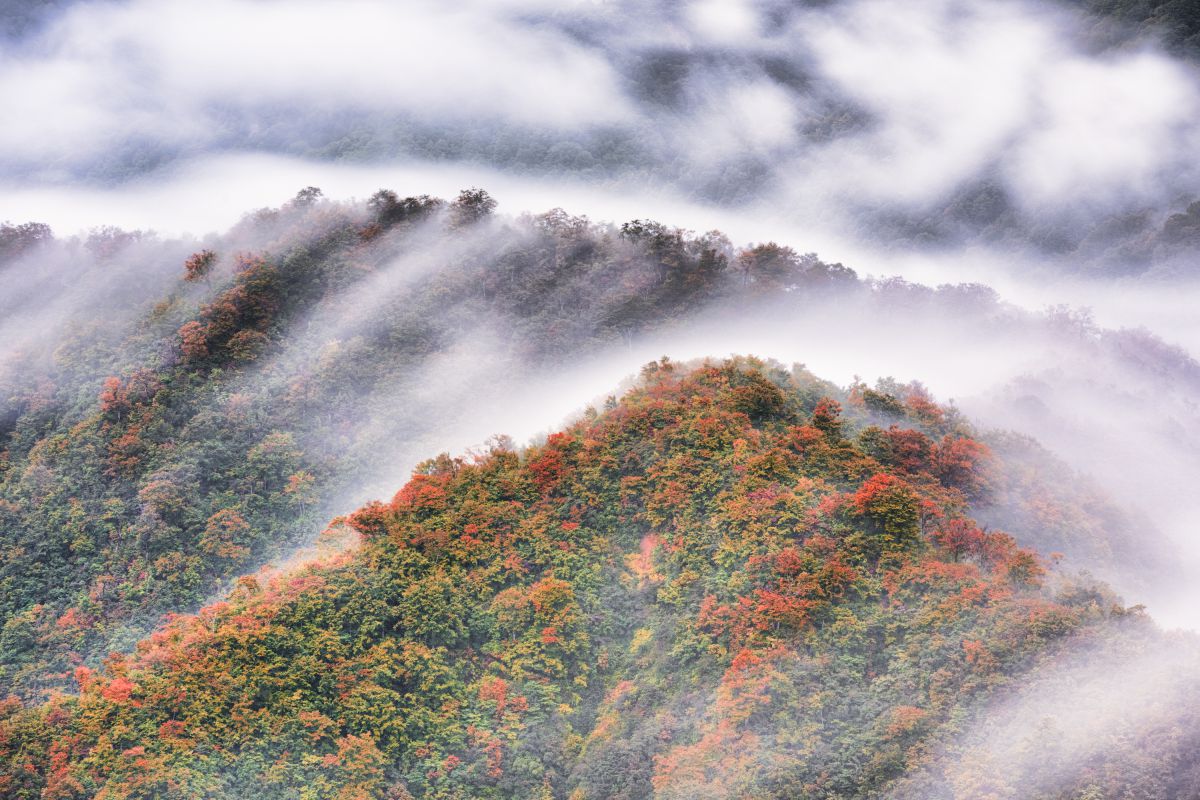 Fall Mountain and Cloud Fall | GANREF