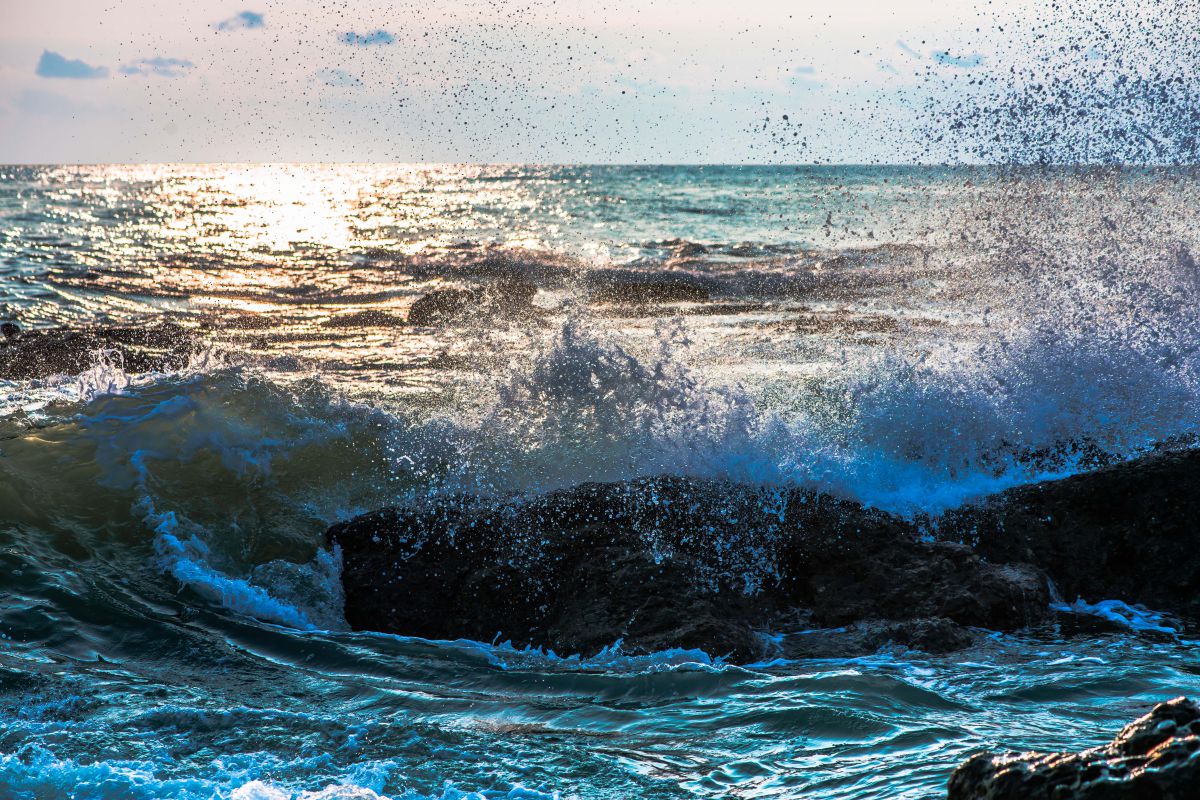 Morning Splash #2 | GANREF