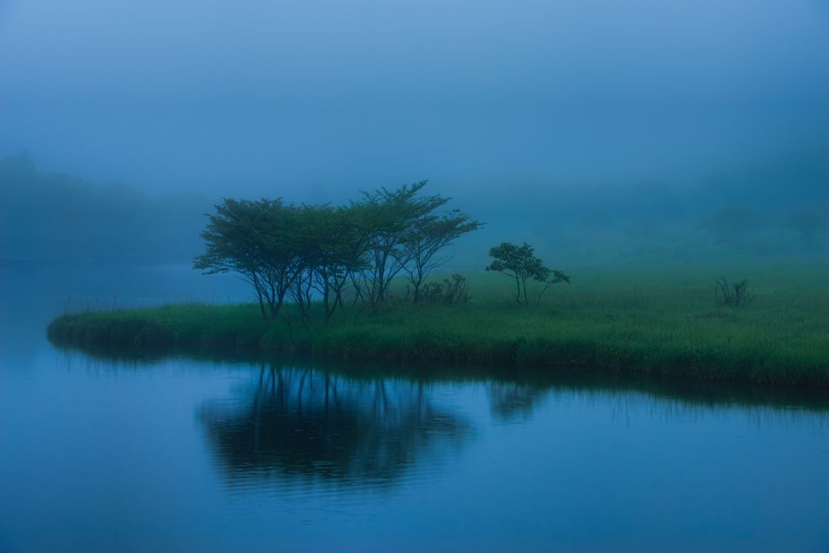 Rainy Morning | GANREF