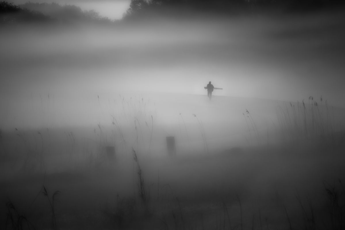 Man in the Mist | GANREF