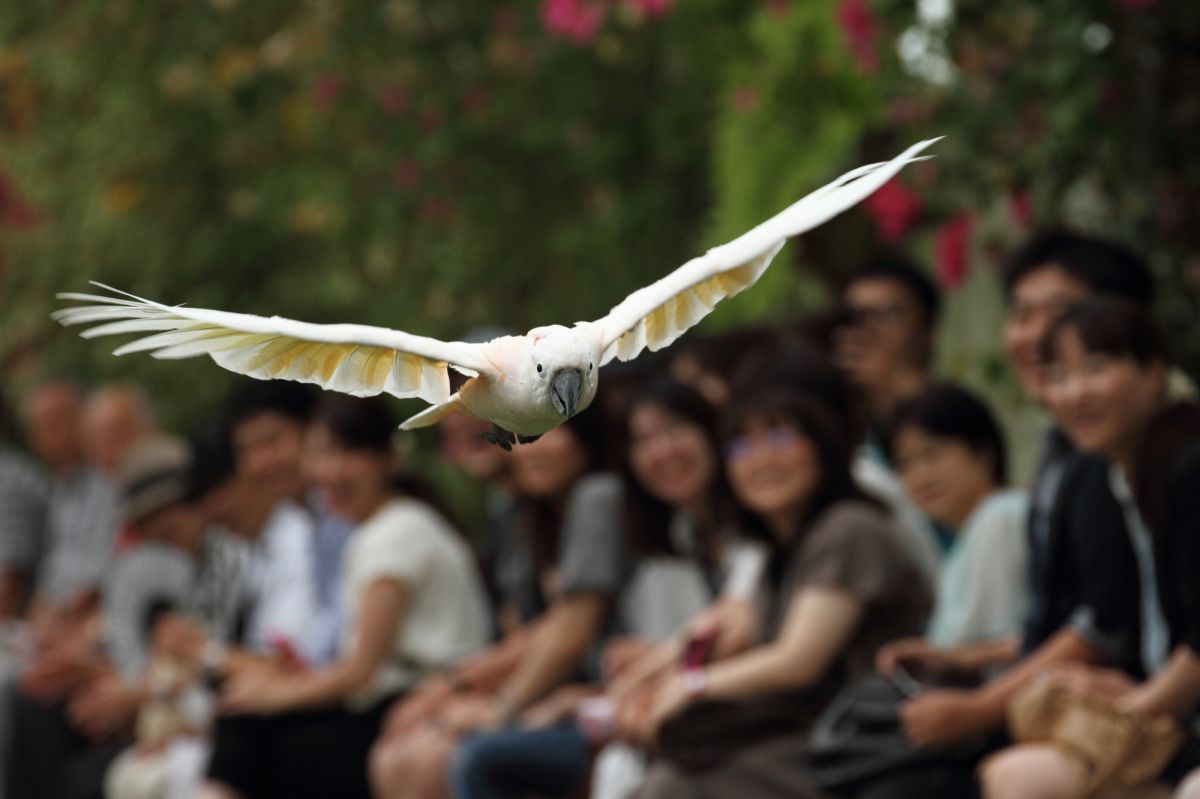 Performance | GANREF