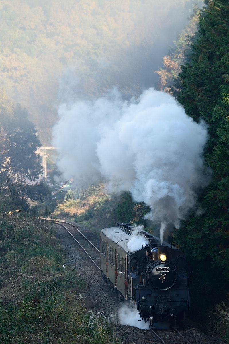 天矢場にて | GANREF