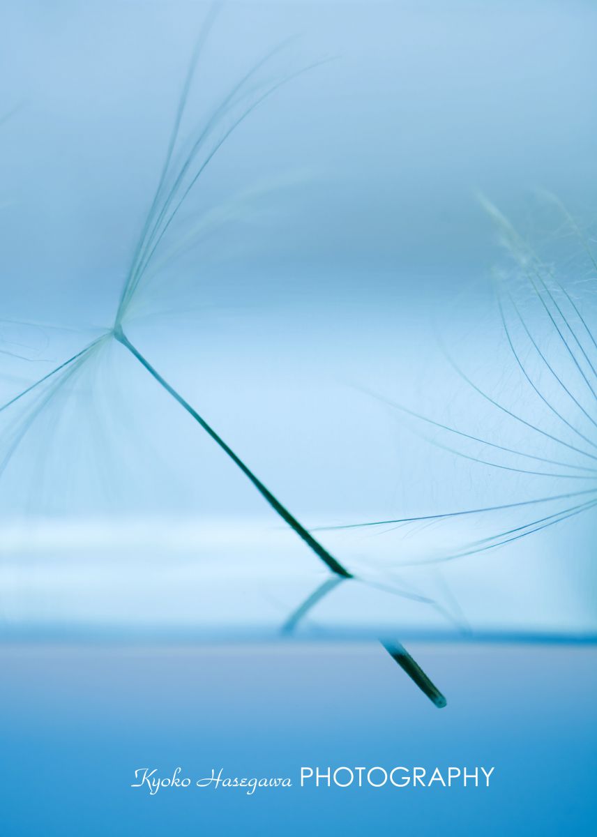 夢の中で... | GANREF