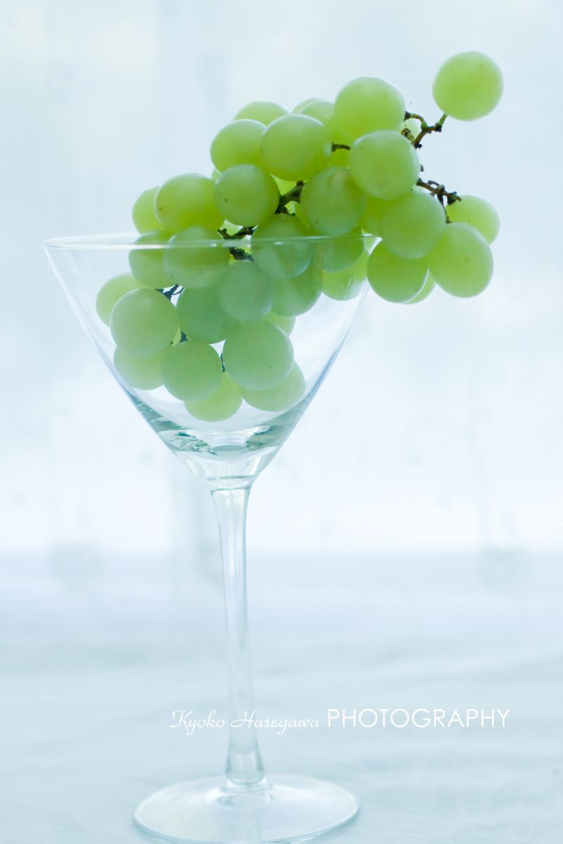 green jewel | GANREF