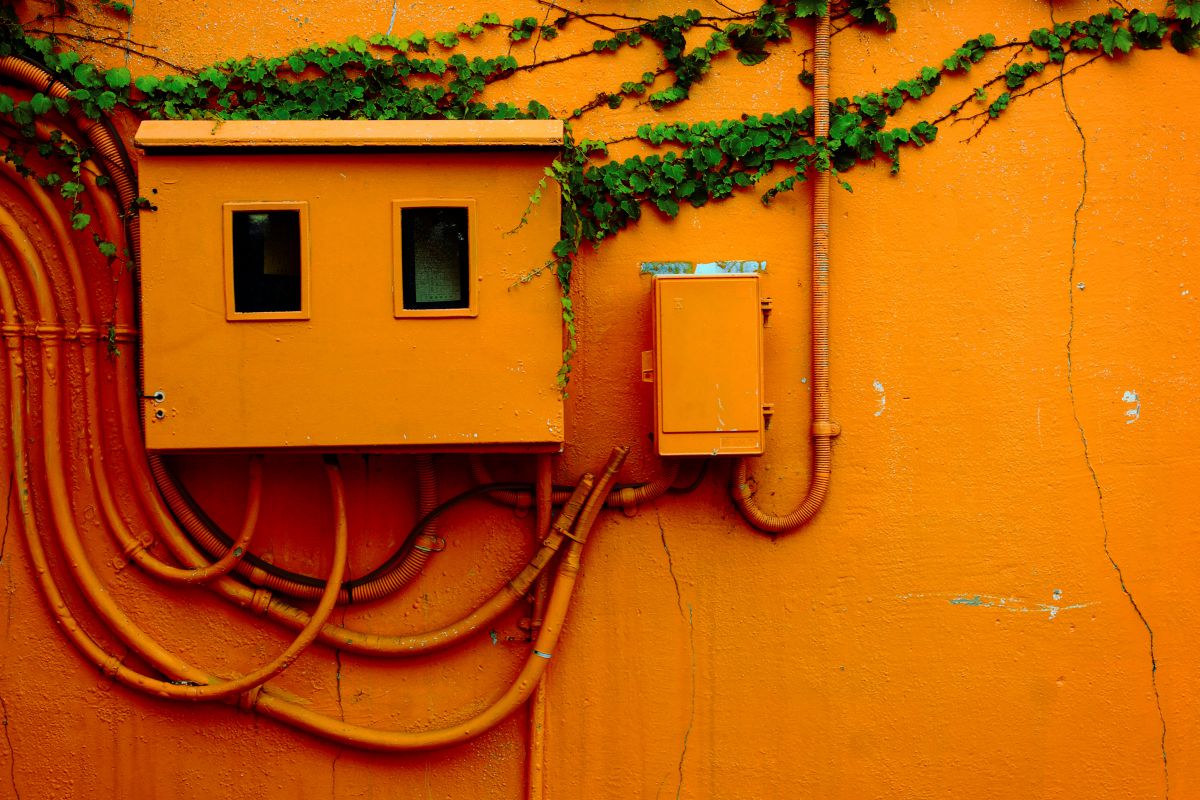 Passion Orange | GANREF