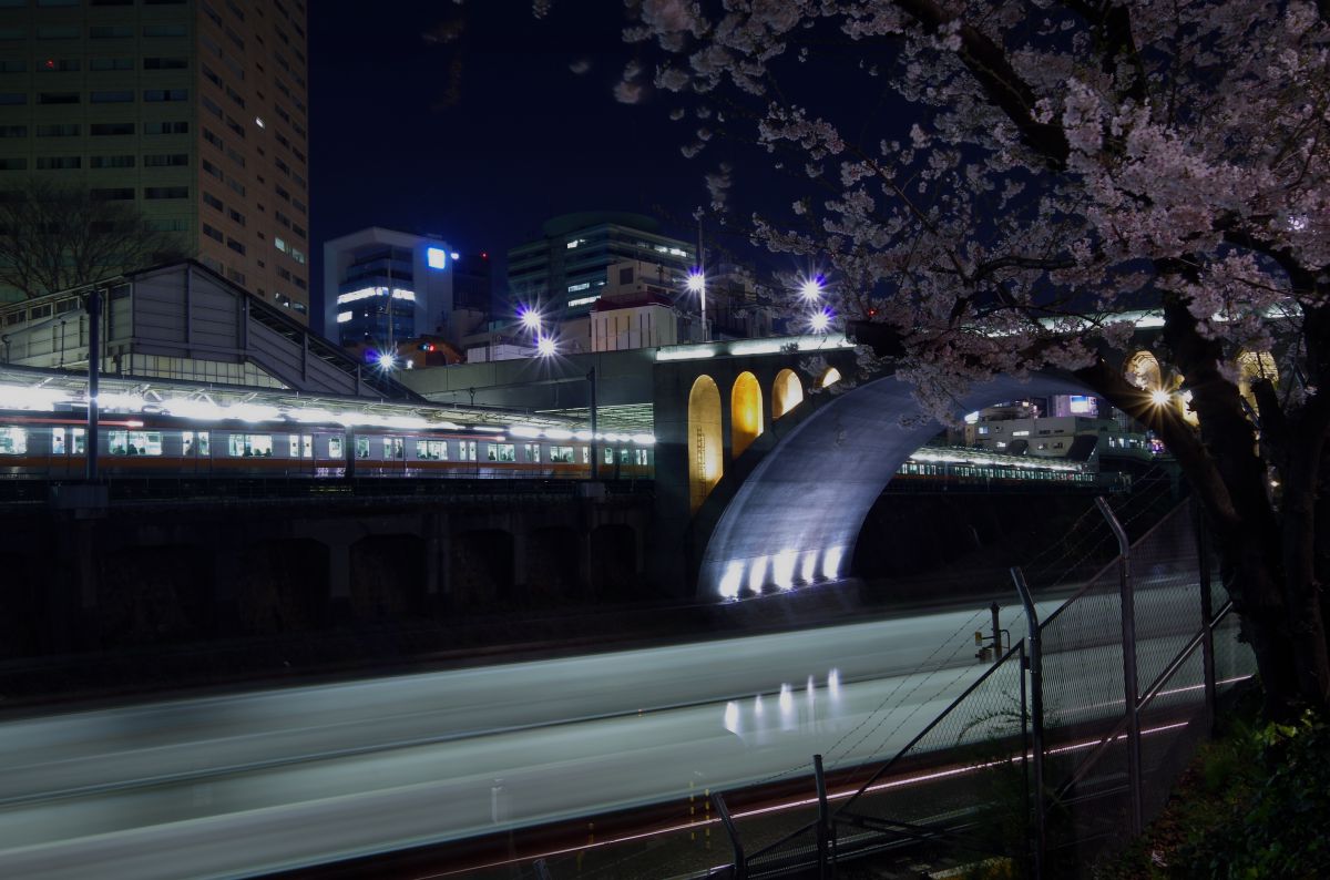 the night of cherry blossoms railway | GANREF