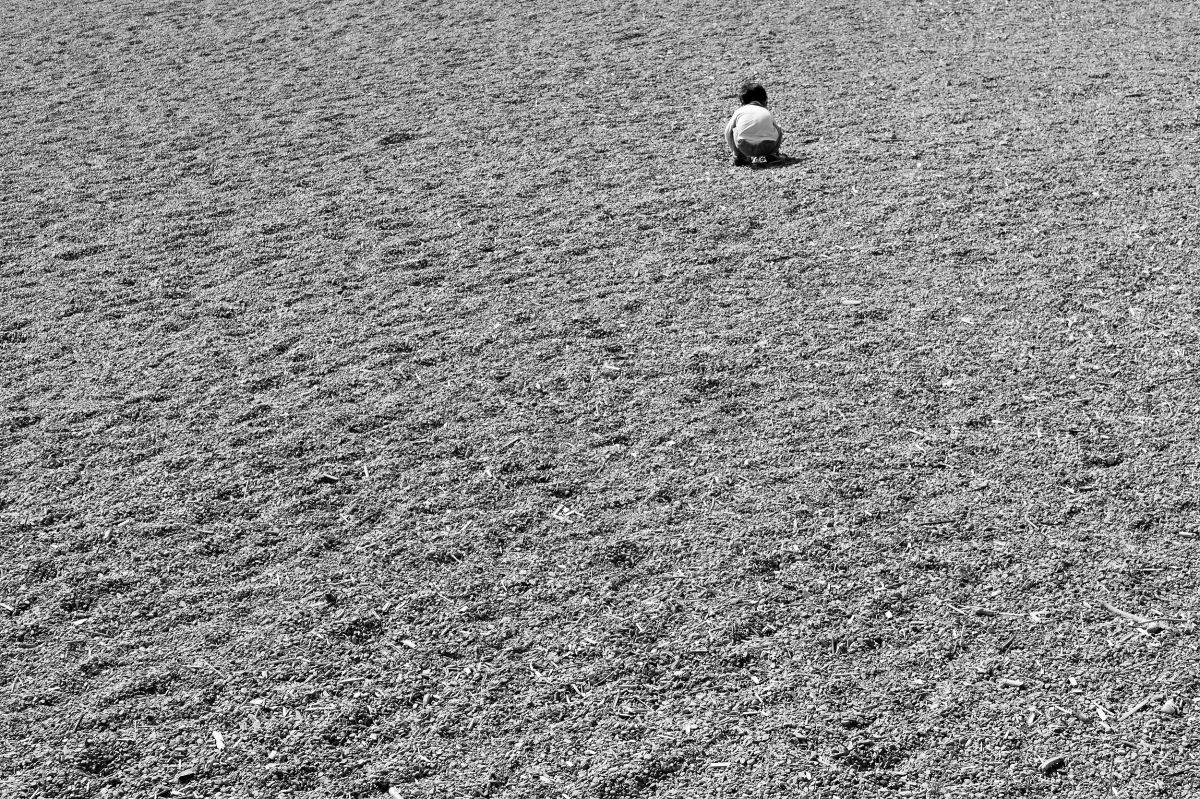 alone… | GANREF