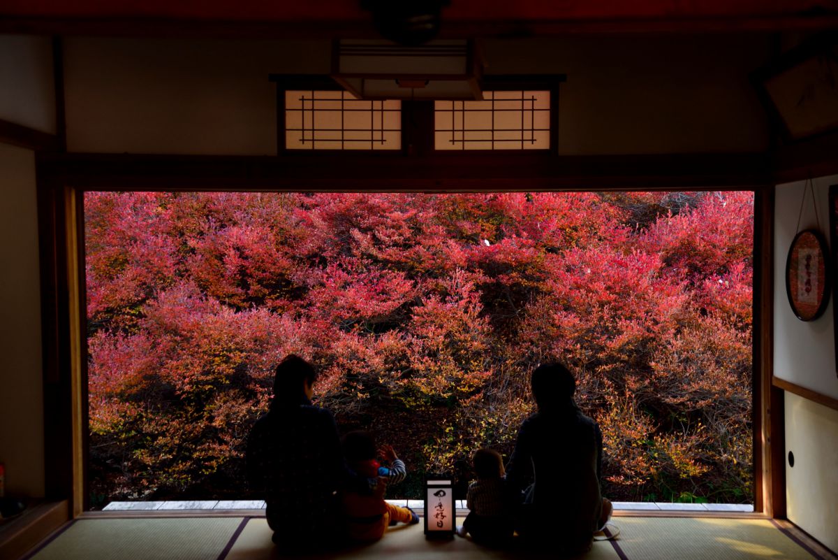 幸せな時間 | GANREF