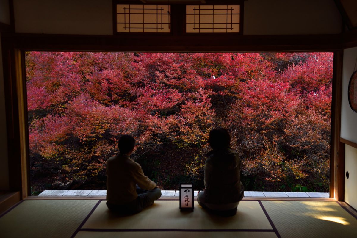 赤く燃える2 | GANREF